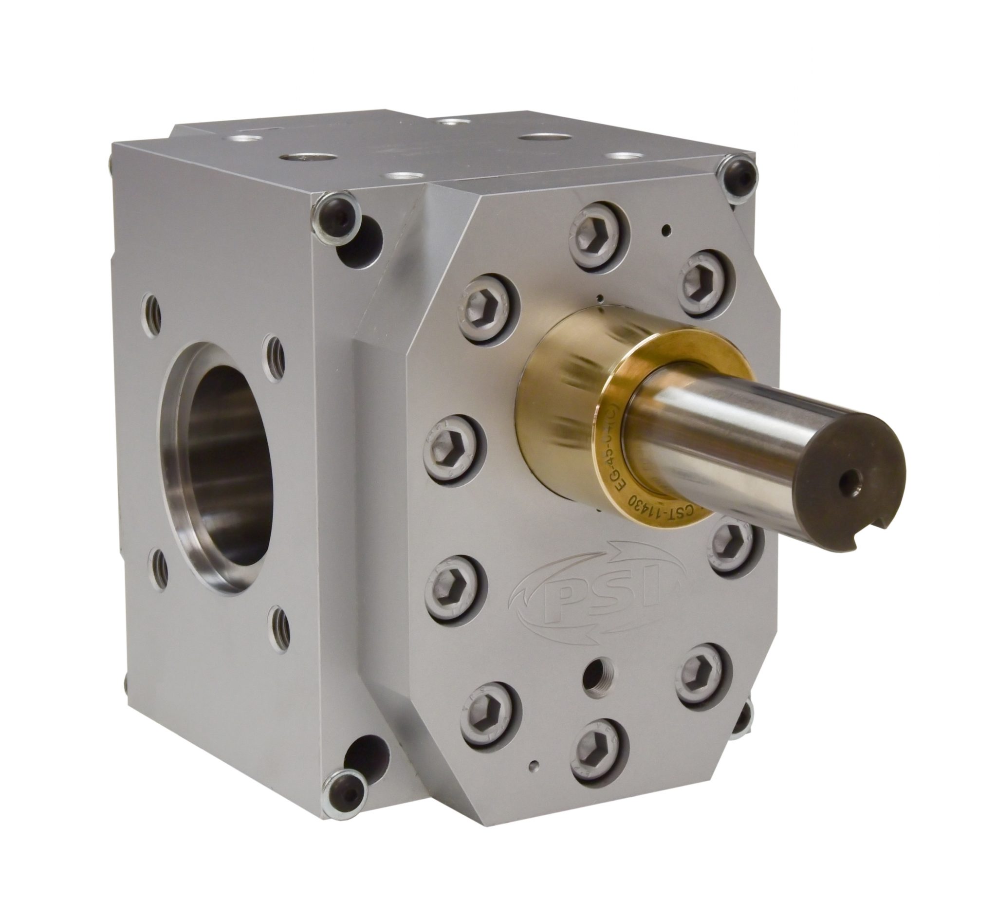 Gear Pump Overview - PSI-Polymer Systems